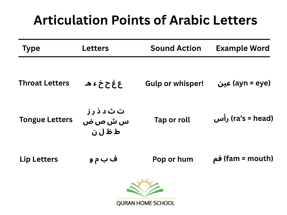 Arabic Phonetics Guide: Arabic Pronunciation & Sounds